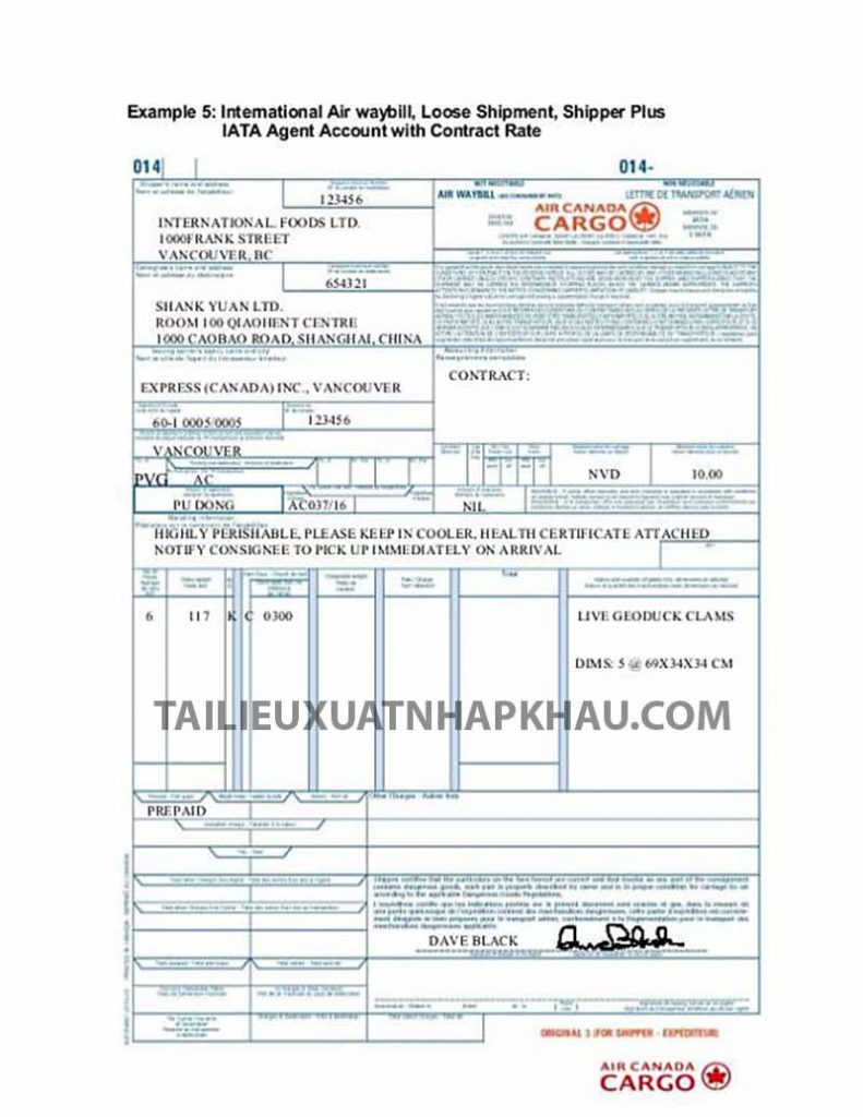 House Airway Bill (HAWB) Là Gì? Phân Biệt MAWB Và HAWB